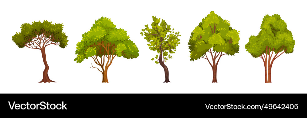 Green trees with lush crown and trunk set Vector Image