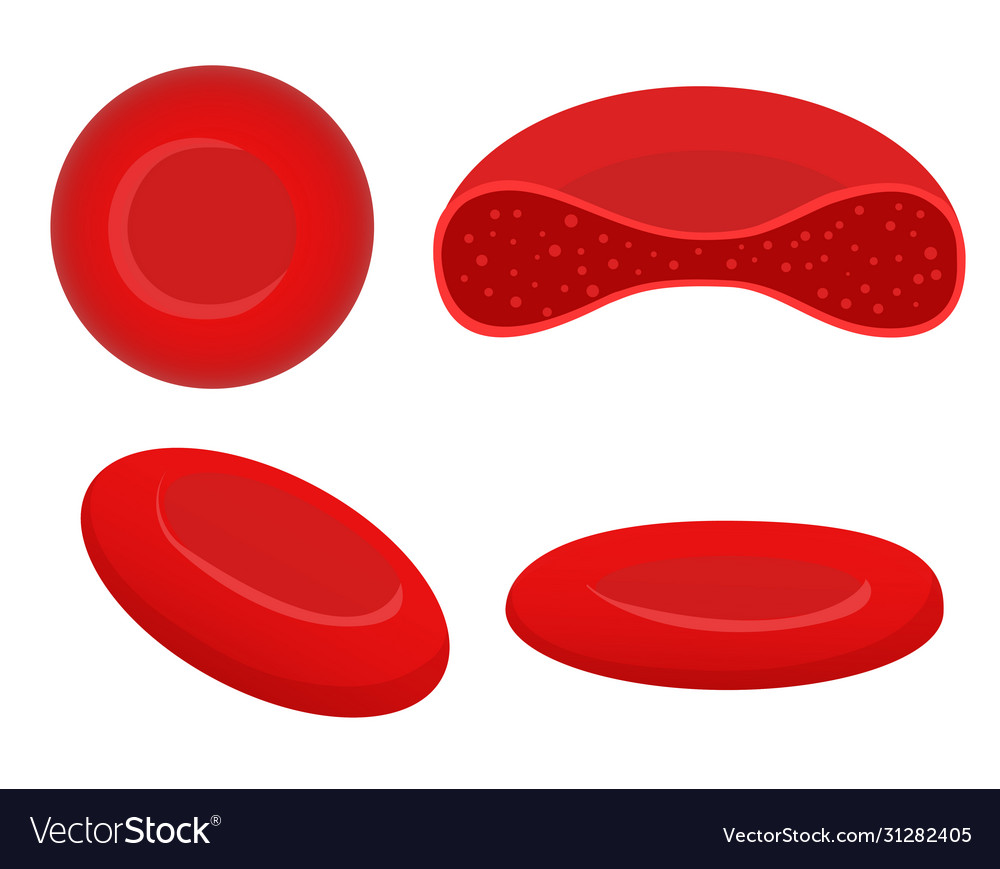 Hemoglobin Royalty Free Vector Image - VectorStock