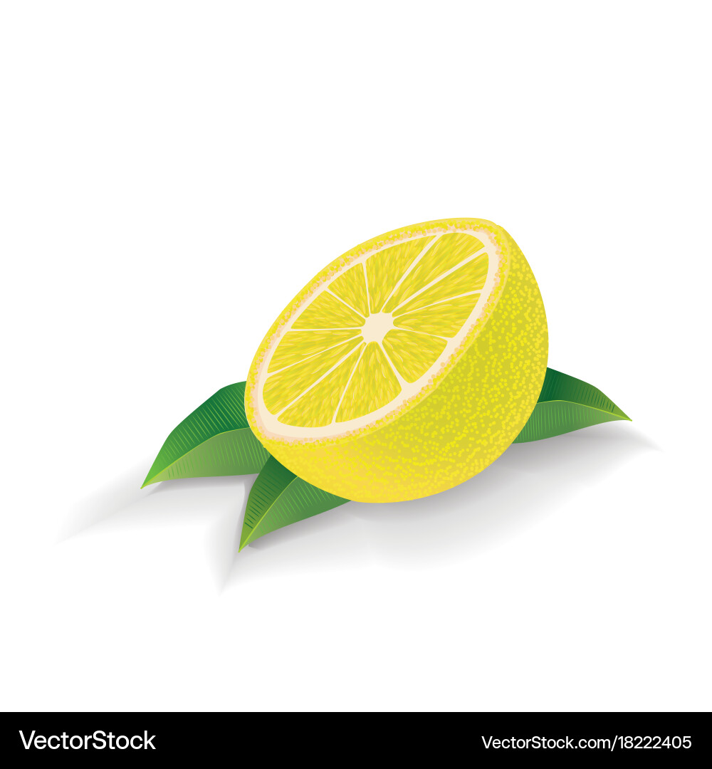 Lemon with leaves isolated on white Royalty Free Vector
