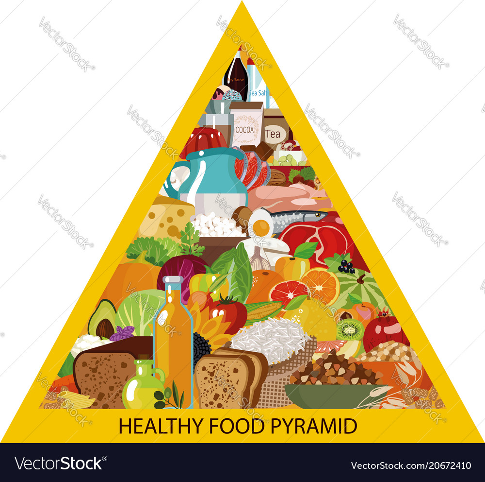 Food pyramid Royalty Free Vector Image - VectorStock