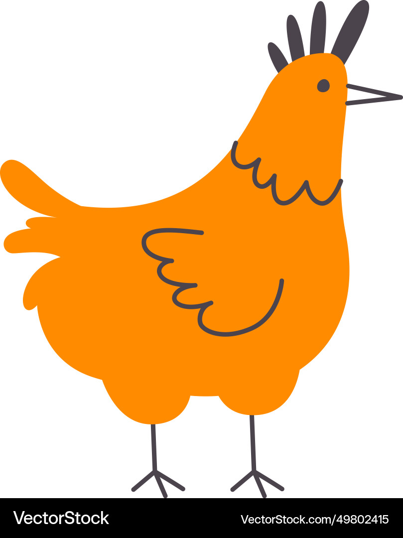 Chicken funny bird Royalty Free Vector Image - VectorStock