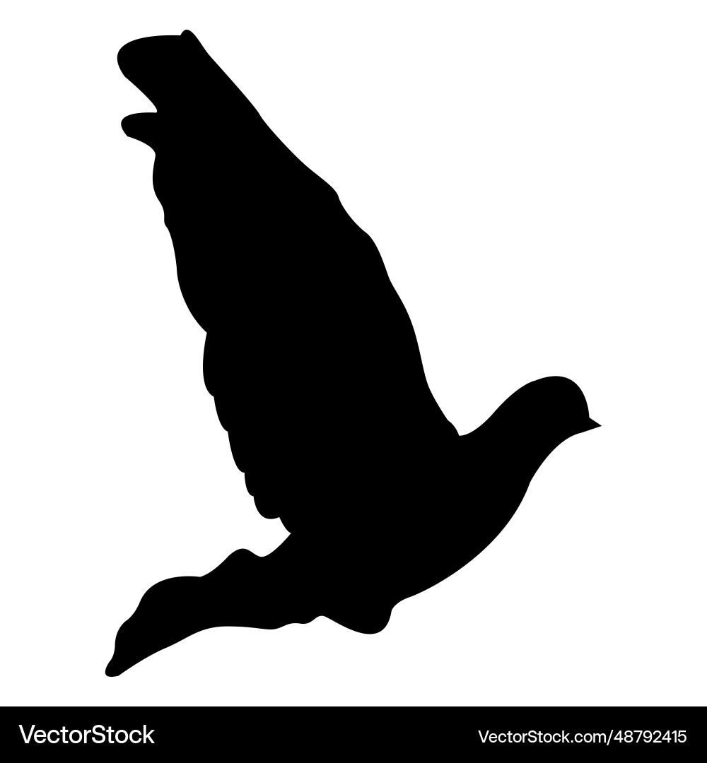Dove flying sequence 5 Royalty Free Vector Image