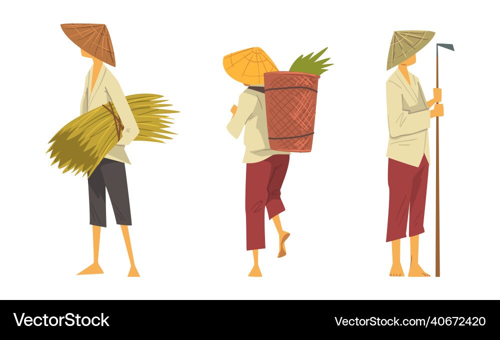 Asian farmer in straw conical hat working on paddy