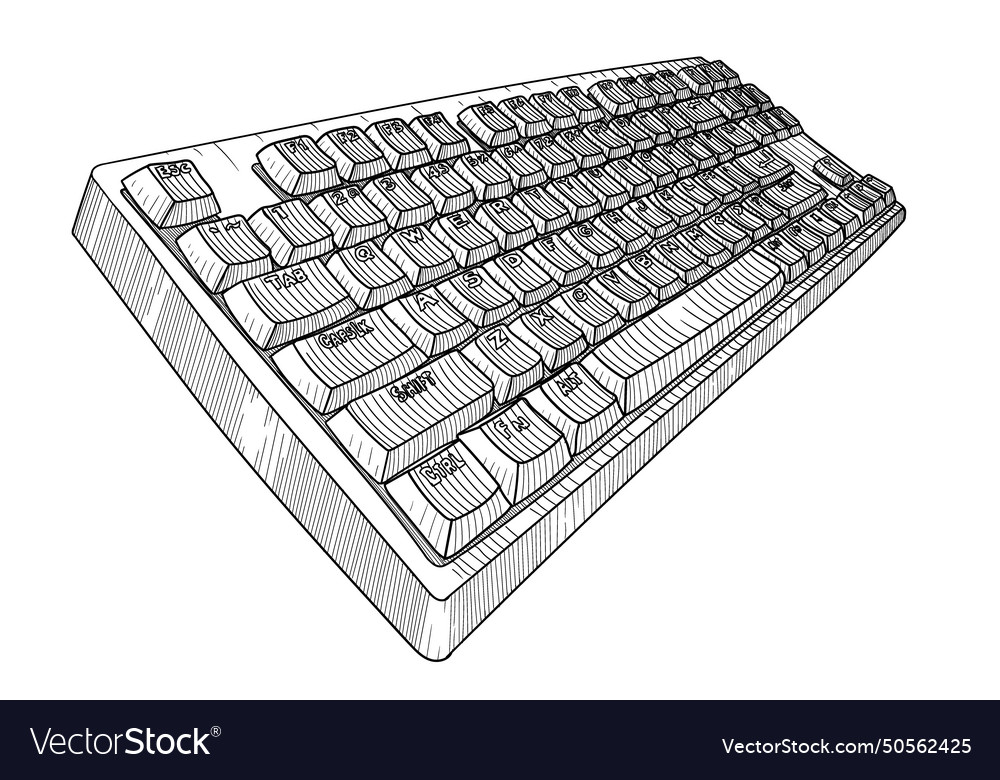 Computer keyboard drawing Royalty Free Vector Image