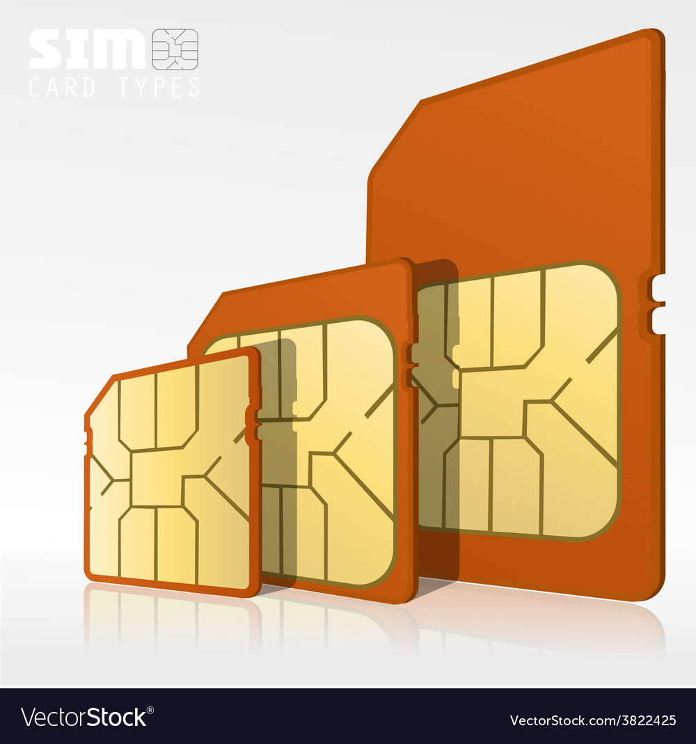 Sim card types Royalty Free Vector Image - VectorStock