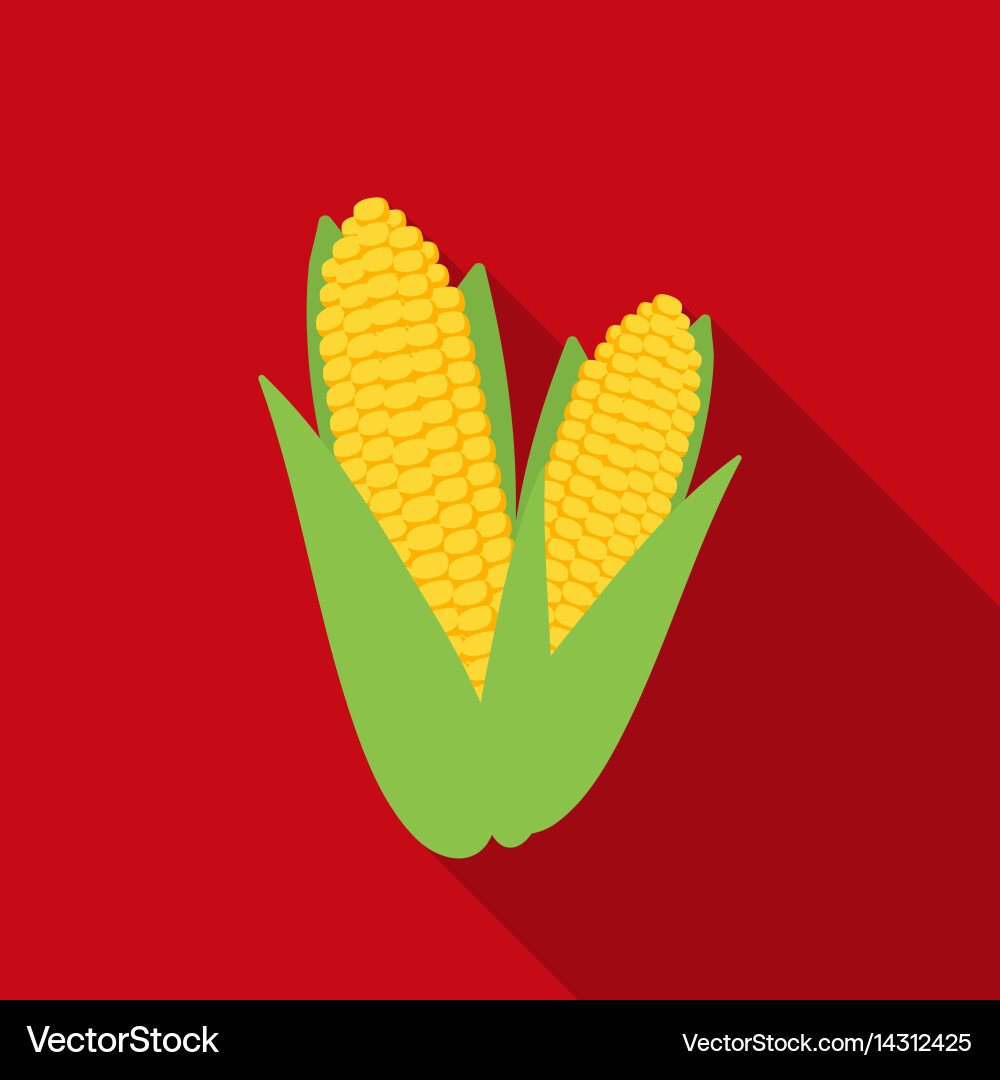 Sweet corn icon in flate style isolated on white Vector Image
