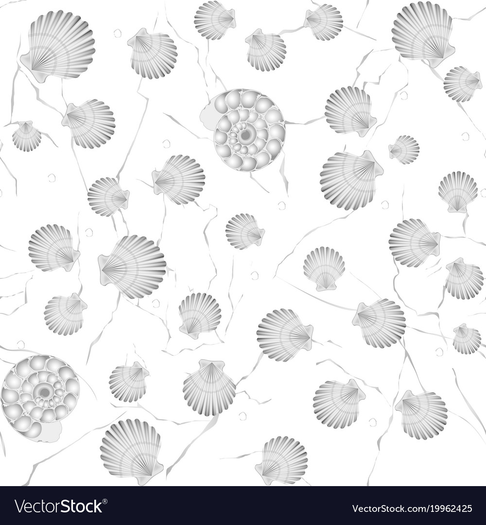 White limestone texture Royalty Free Vector Image