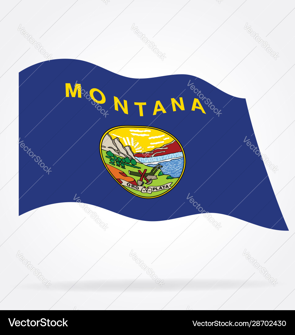 Accurate correct montana mt state flag waving Vector Image