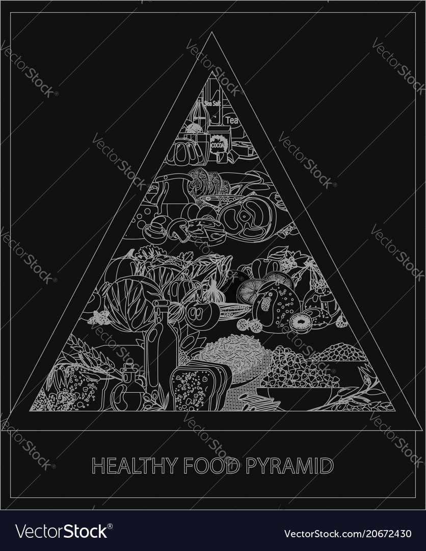 Food pyramid Royalty Free Vector Image - VectorStock