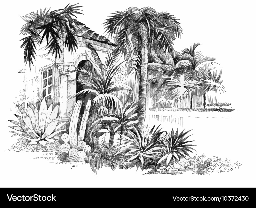 Hand drawn sketch tropical resort Royalty Free Vector Image