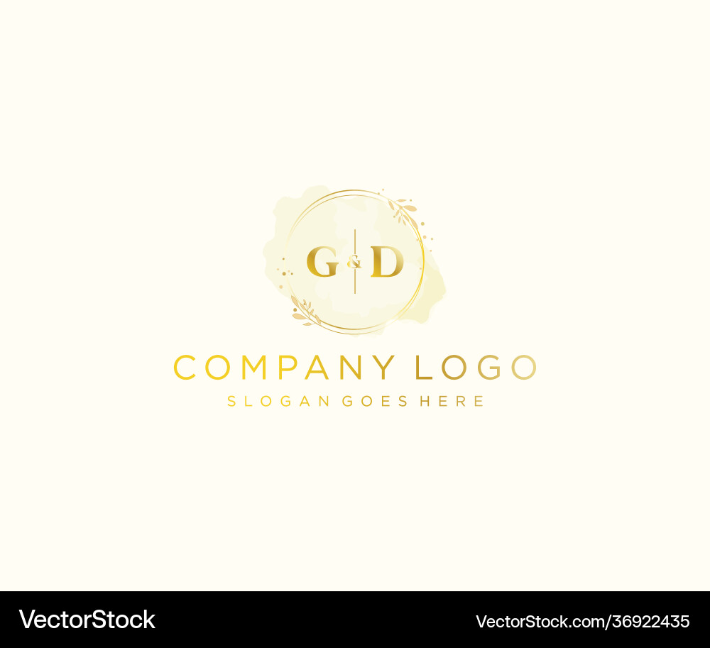 Initial gd letters colorful watercolor splash Vector Image