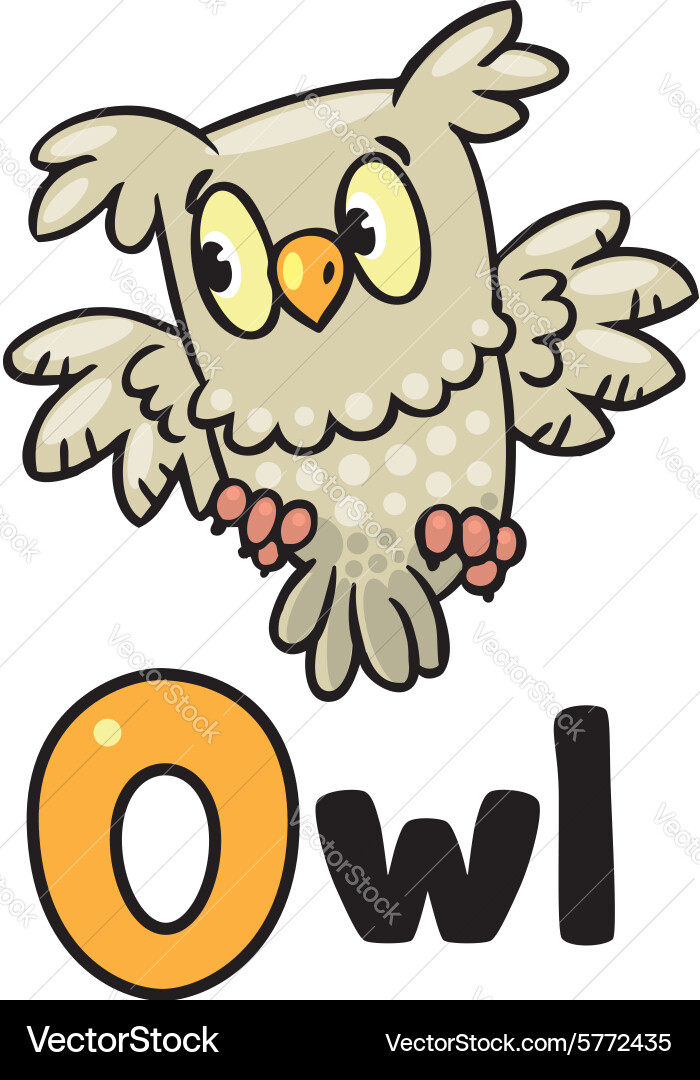 Little owl for abc alphabet o Royalty Free Vector Image