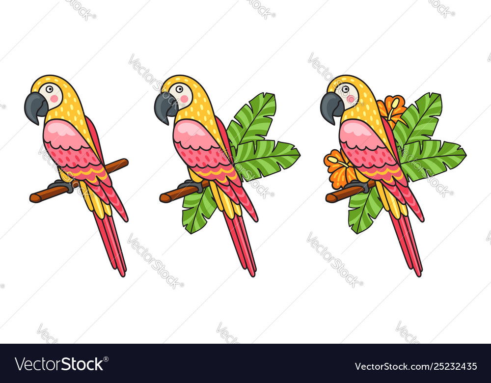 Macaw set beautiful colorful parrots Royalty Free Vector