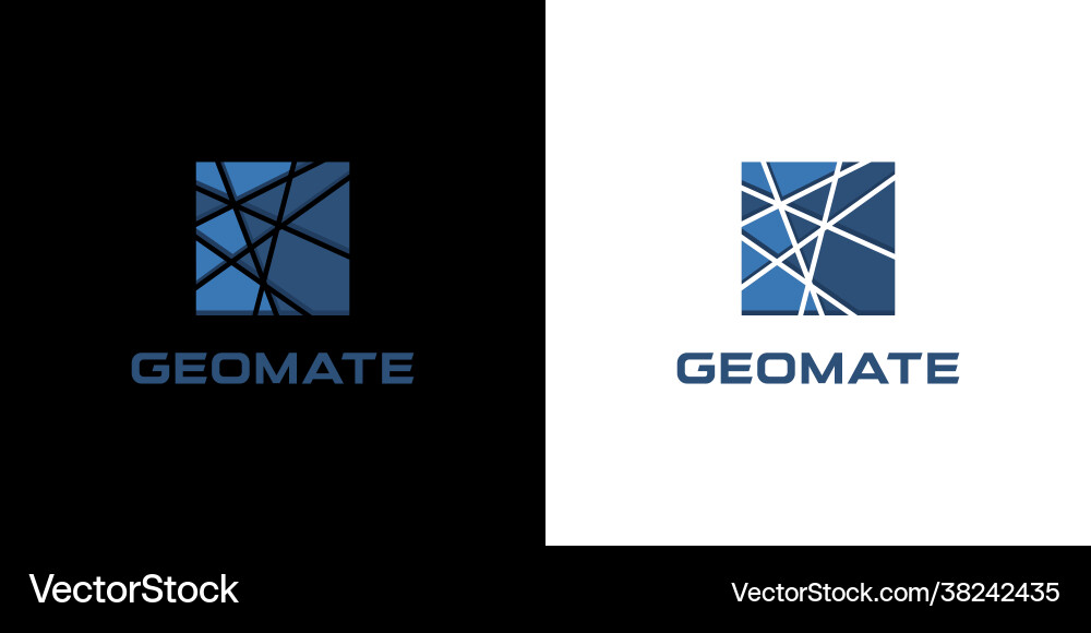 Modern and professional geographic theme logo Vector Image