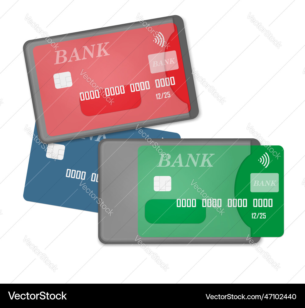 Plastic card sleeve holder with credit Royalty Free Vector