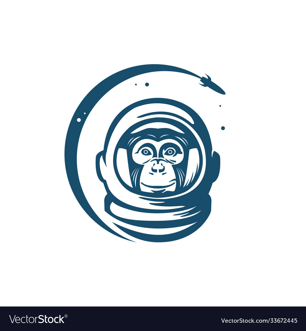 Space monkey Royalty Free Vector Image - VectorStock