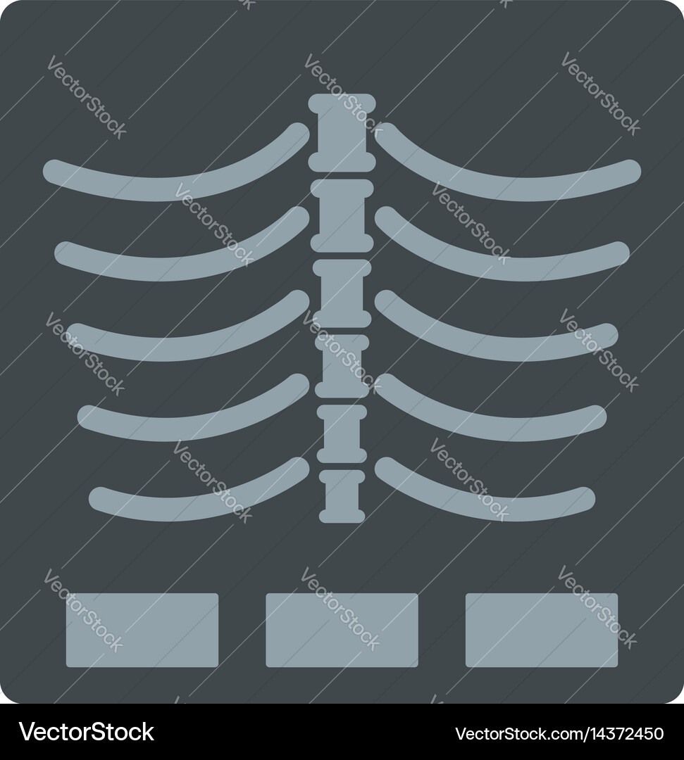 X ray photo icon isolated Royalty Free Vector Image
