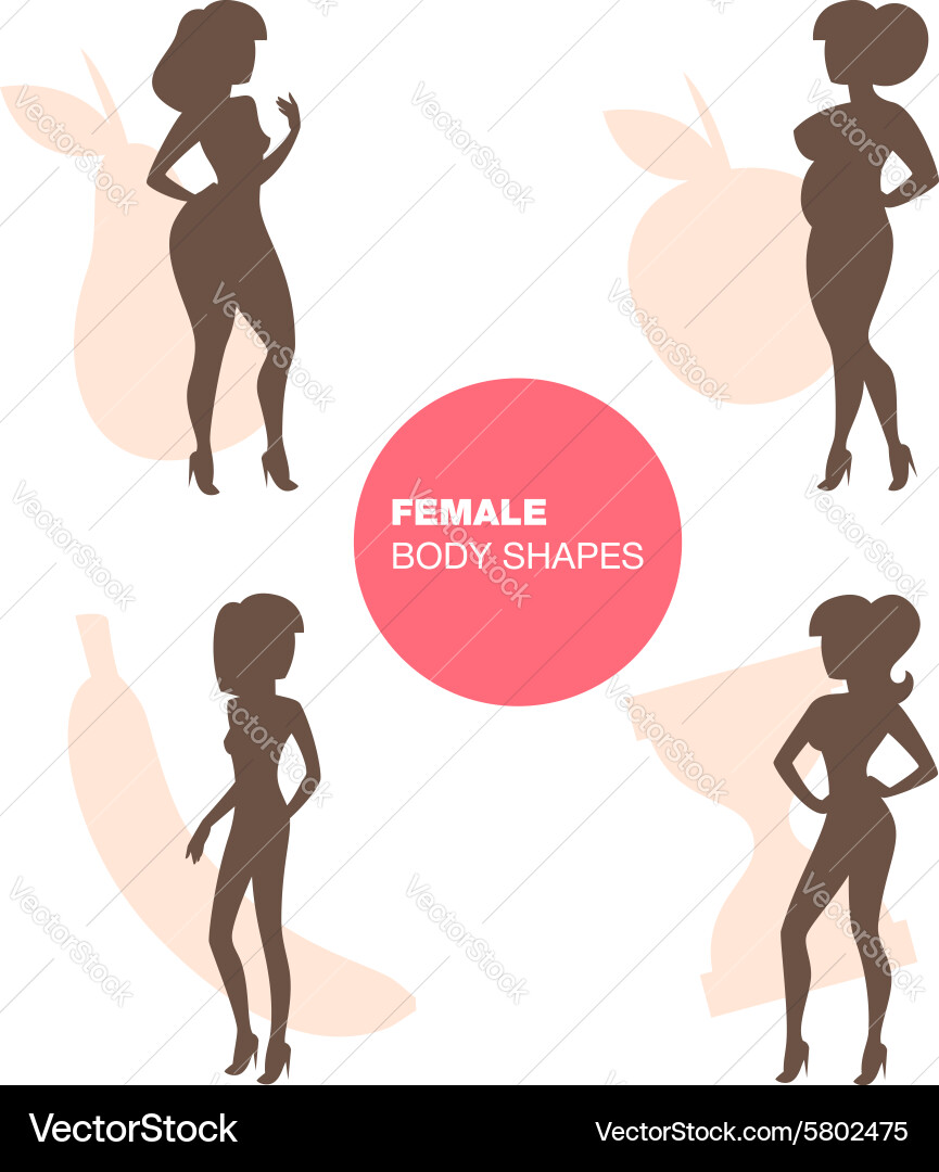 Female body shapes Royalty Free Vector Image - VectorStock