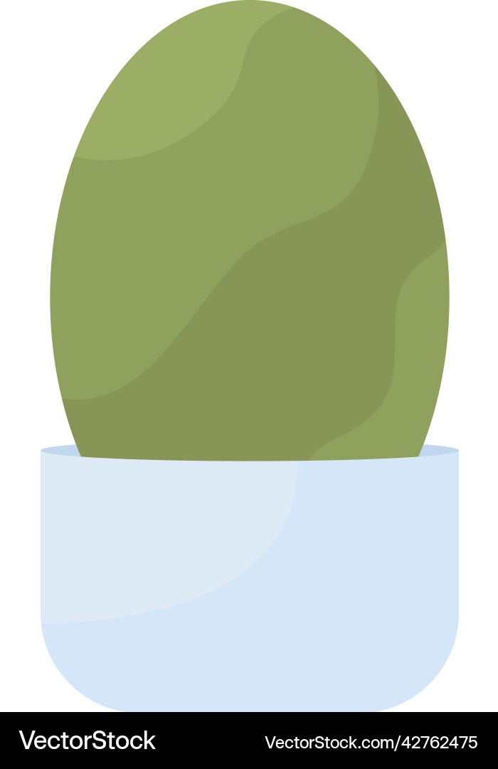 Oval Shaped Objects Pictures