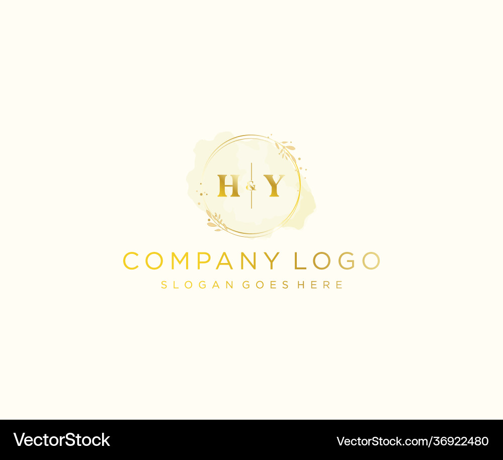 Initial hy letters colorful watercolor splash Vector Image