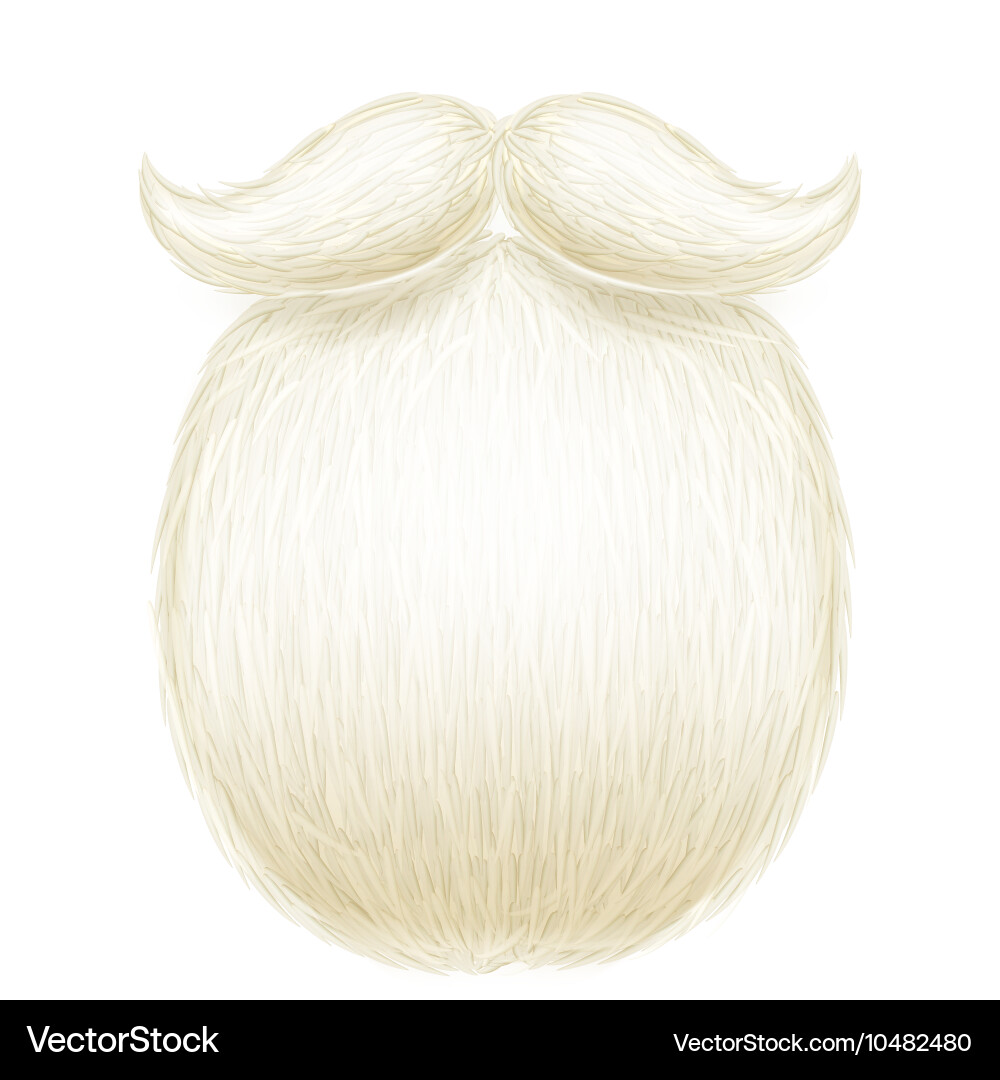 Santa claus beard isolated on white eps 10 Vector Image