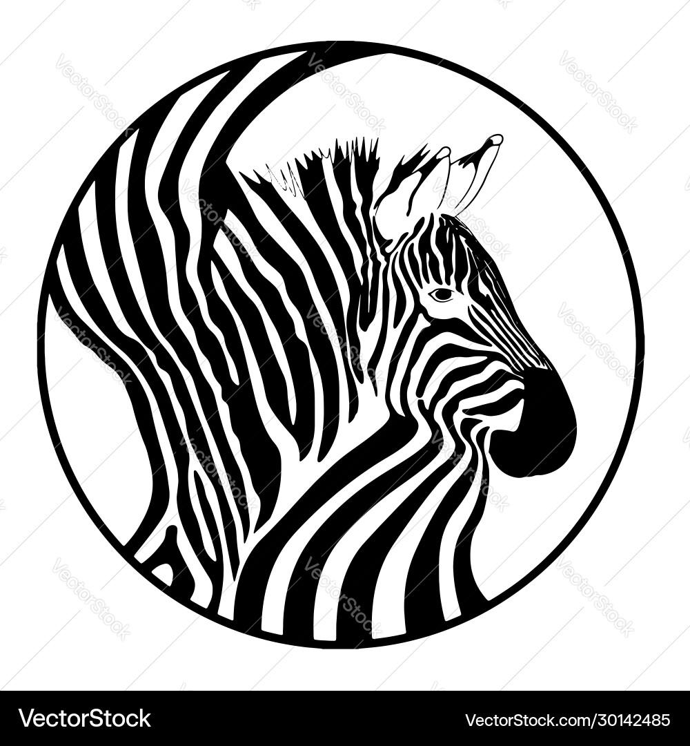 Image a zebra in a circle in black and white Vector Image