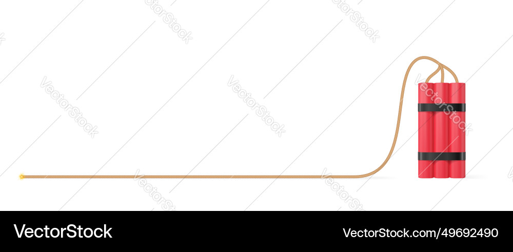 Bomb with long flickering fuse realistic Vector Image