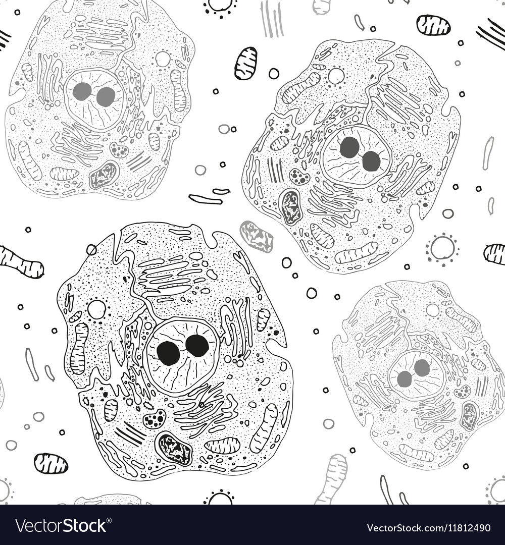 Handdrawn cell pattern Royalty Free Vector Image