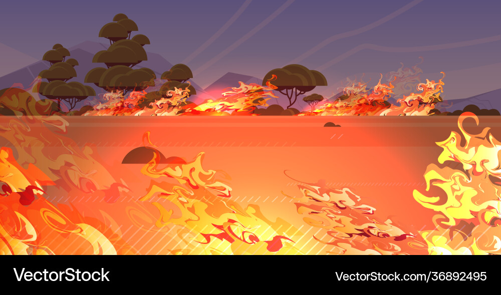 Dangerous wildfire grass bushfire forest in smoke Vector Image