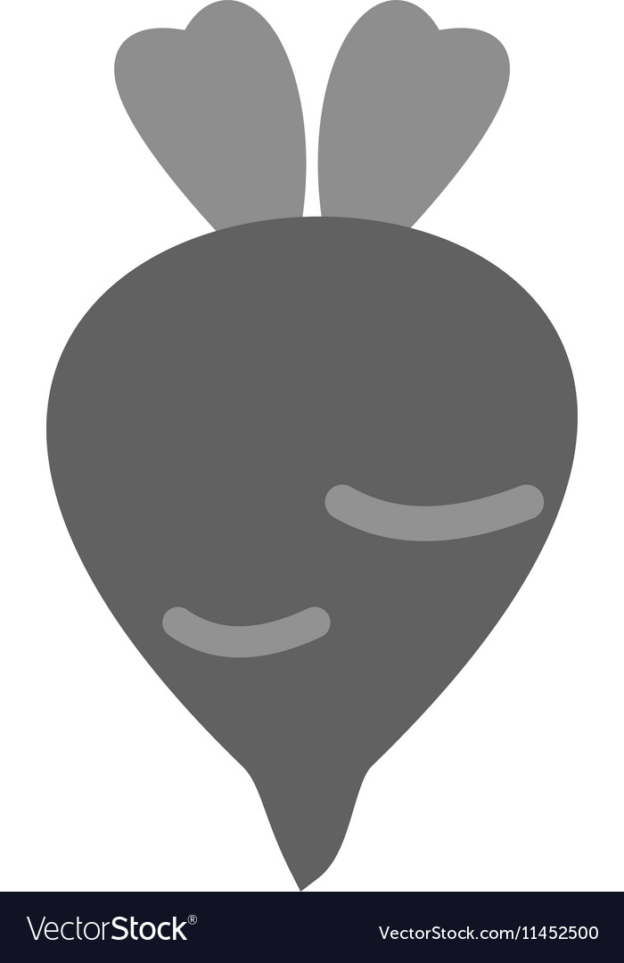 Beet Royalty Free Vector Image - VectorStock