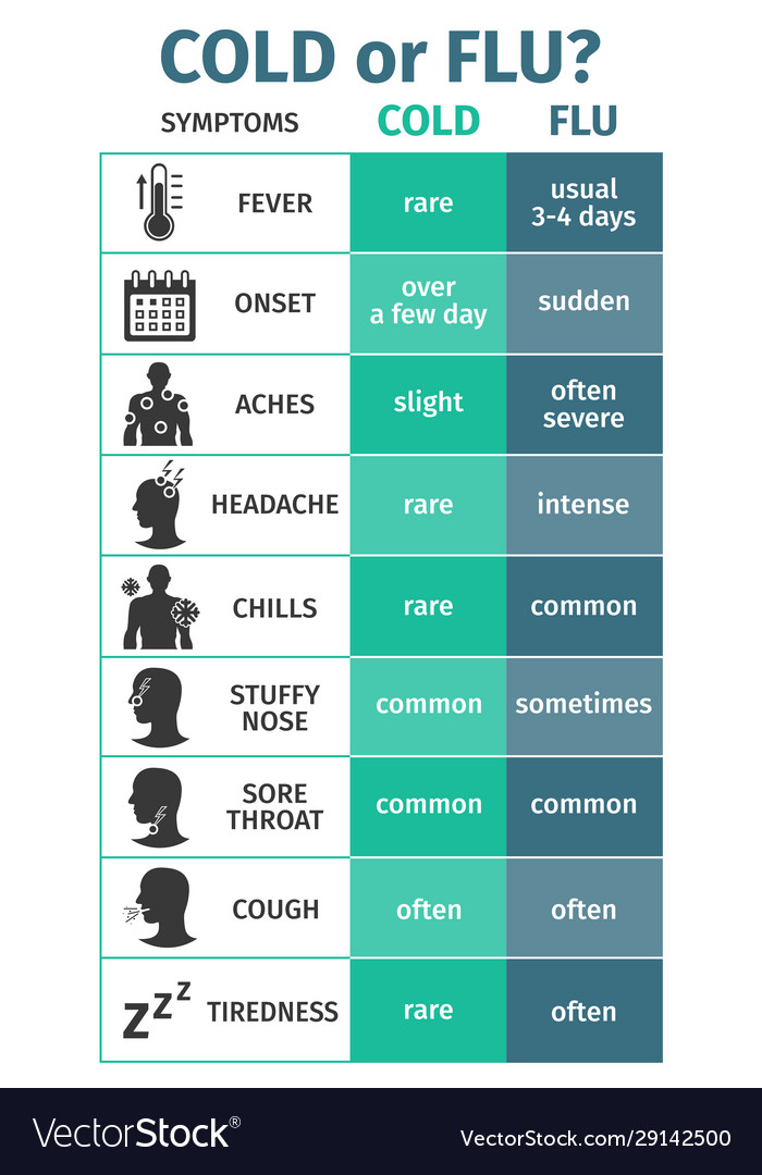 Infographics cold or flu symptoms Royalty Free Vector Image