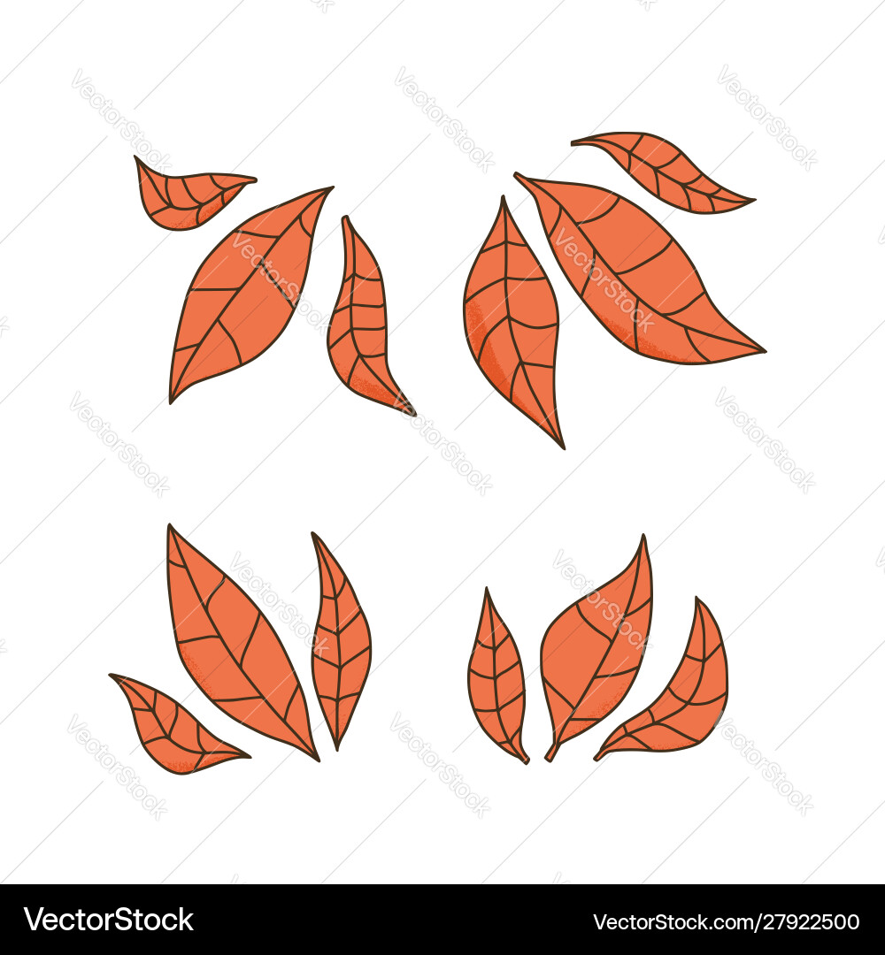 Set autumn leaves in doodle style Royalty Free Vector Image