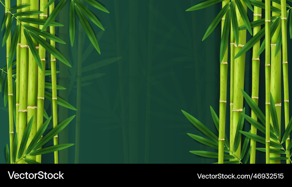 Jungle bamboo tropical background Royalty Free Vector Image