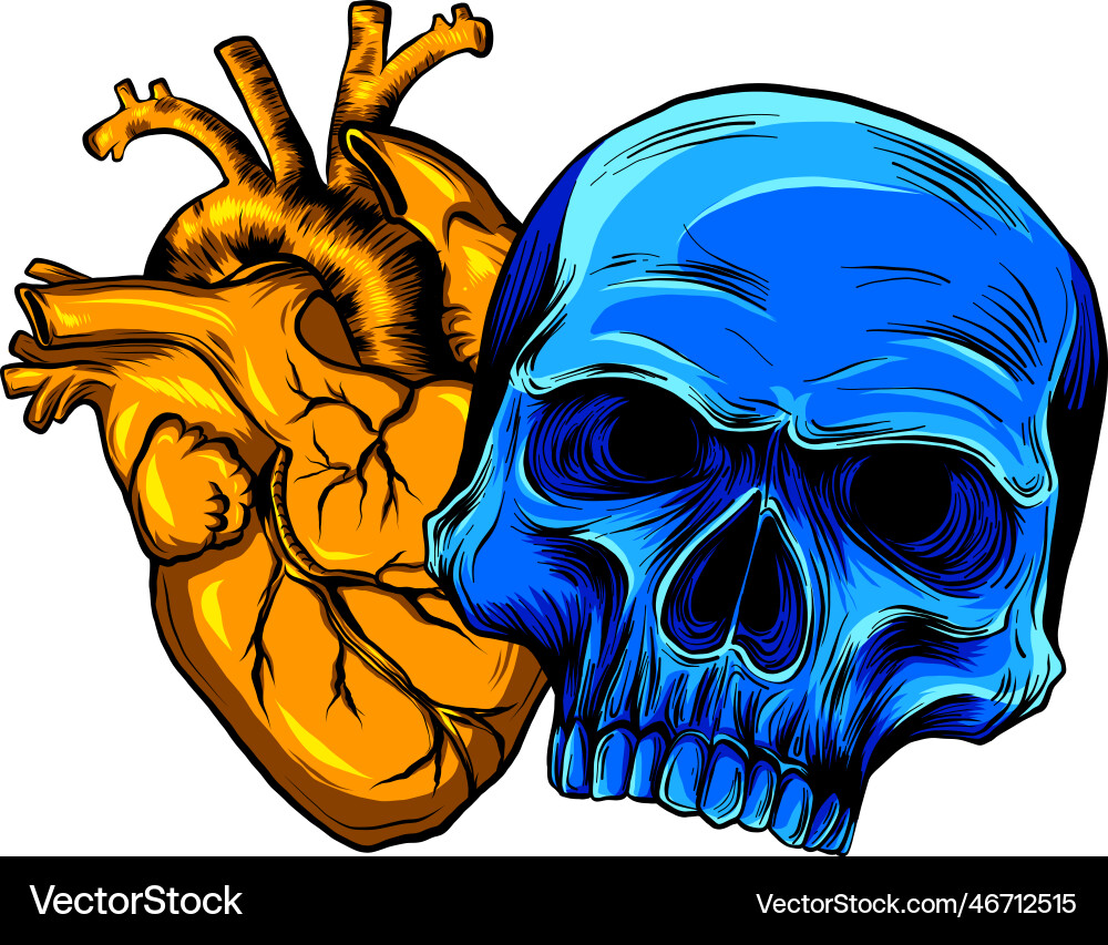 Skull with heart on white Royalty Free Vector Image