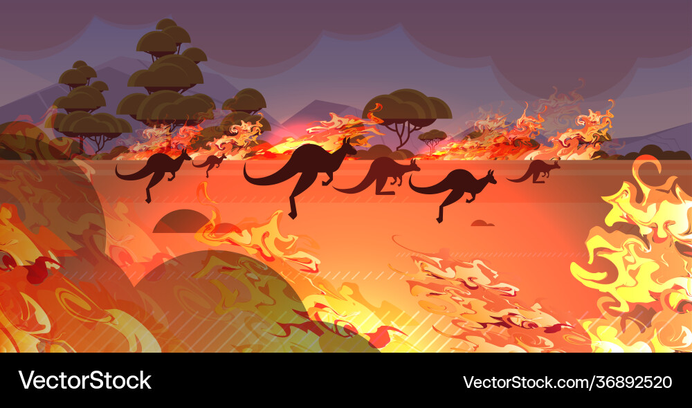 Dangerous wildfire bush fire australia forest Vector Image