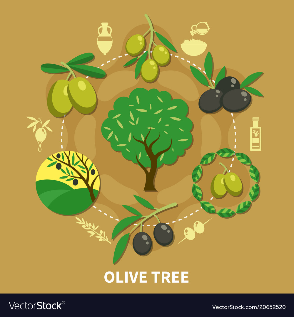 Olive tree round composition Royalty Free Vector Image