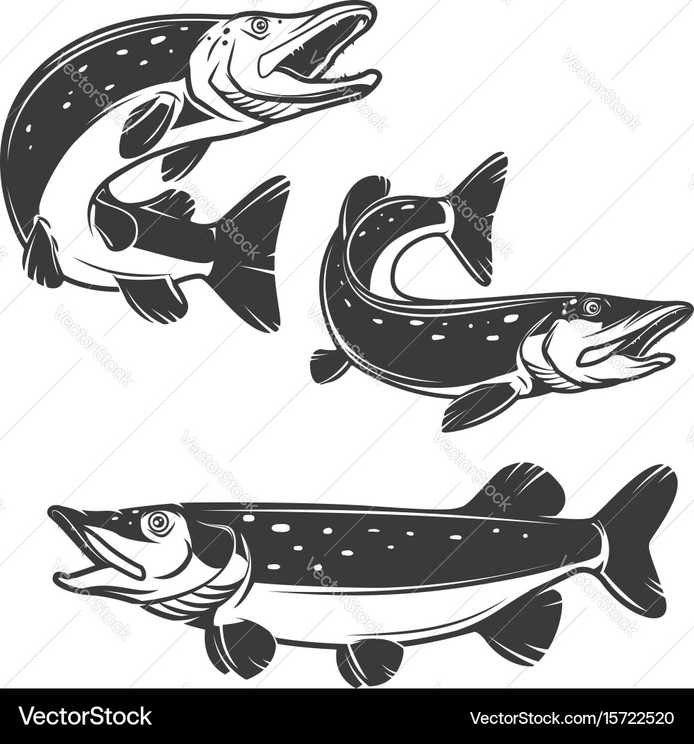 Set pike icons isolated on white background Vector Image