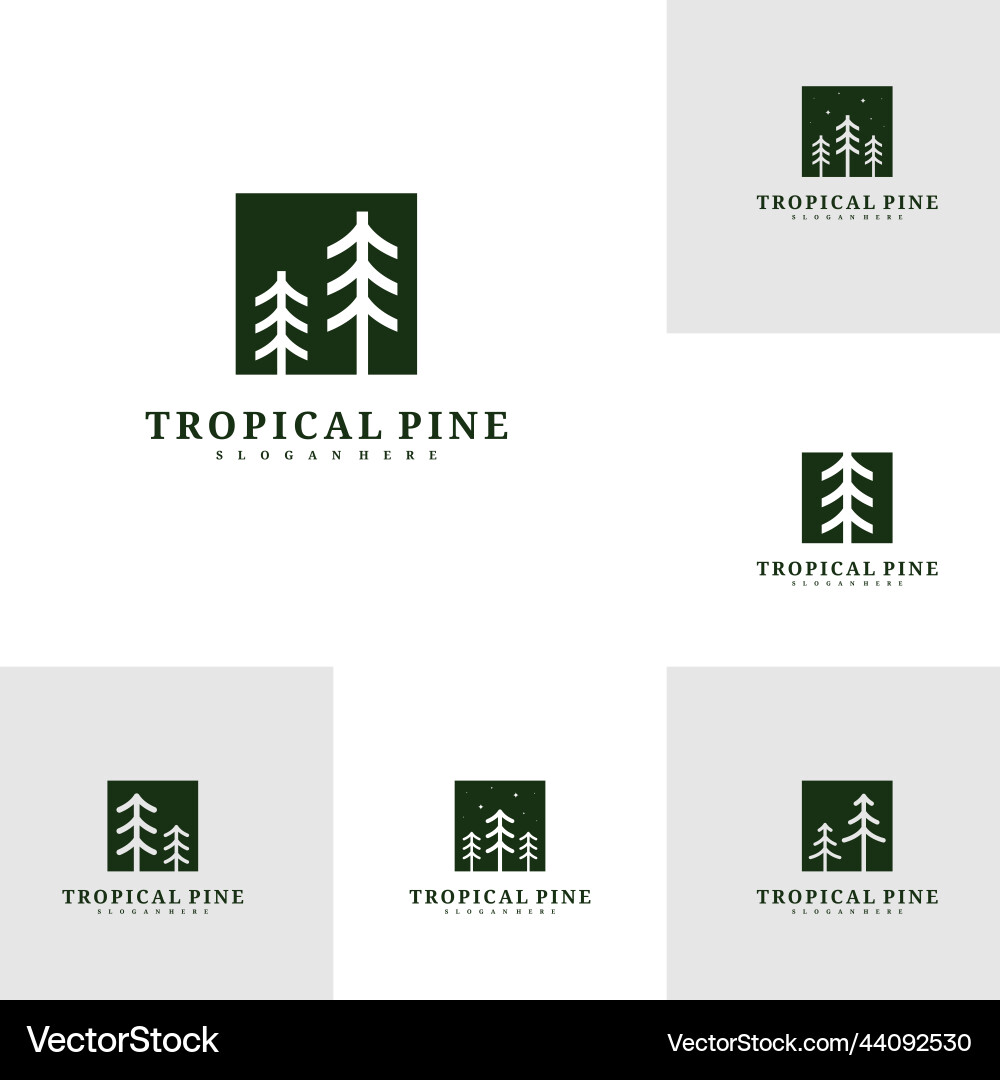 Set of pine tree logo design template tropical Vector Image