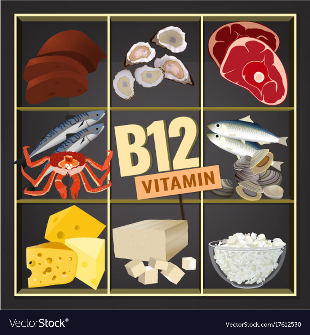 Vitamin b12 image Royalty Free Vector Image - VectorStock