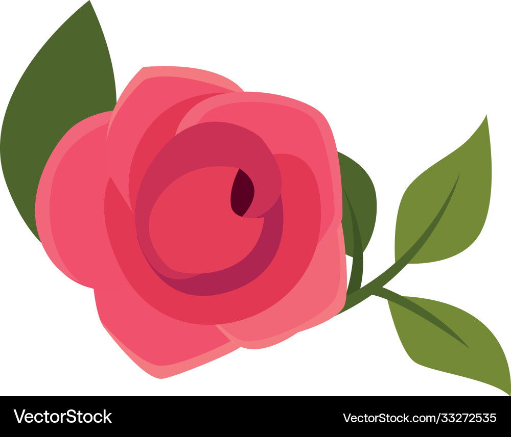 Rose flower with leaves design Royalty Free Vector Image