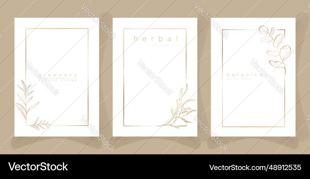 Set of frame templates in minimal linear Vector Image