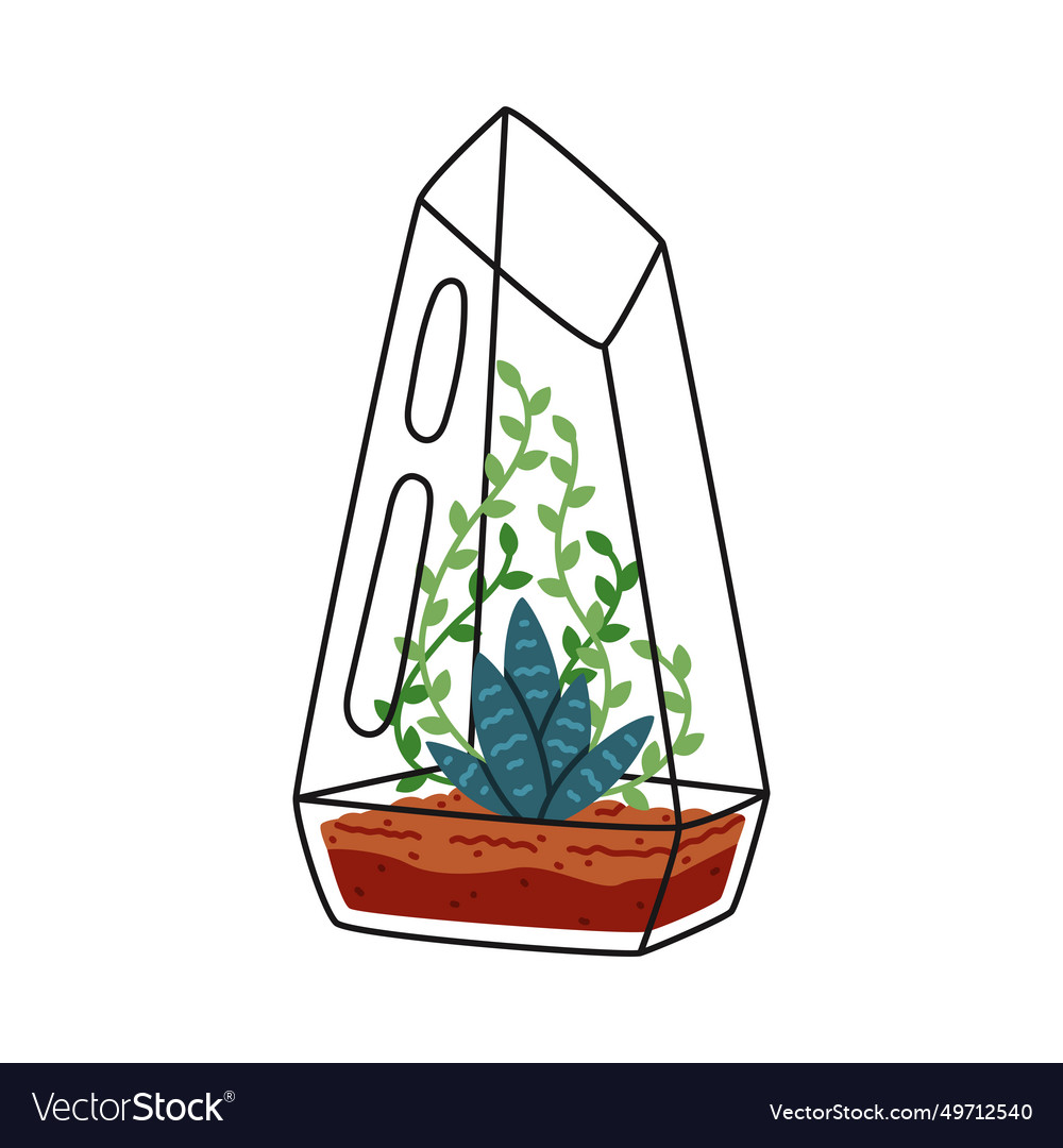 Home florarium with plant in glass transparent Vector Image