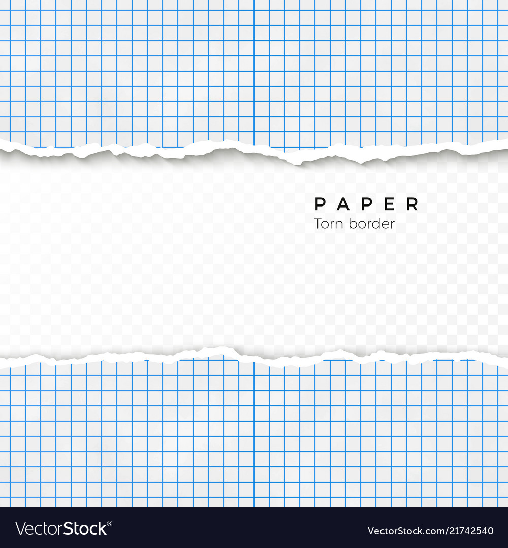 Torn edge of squared paper piece Royalty Free Vector Image