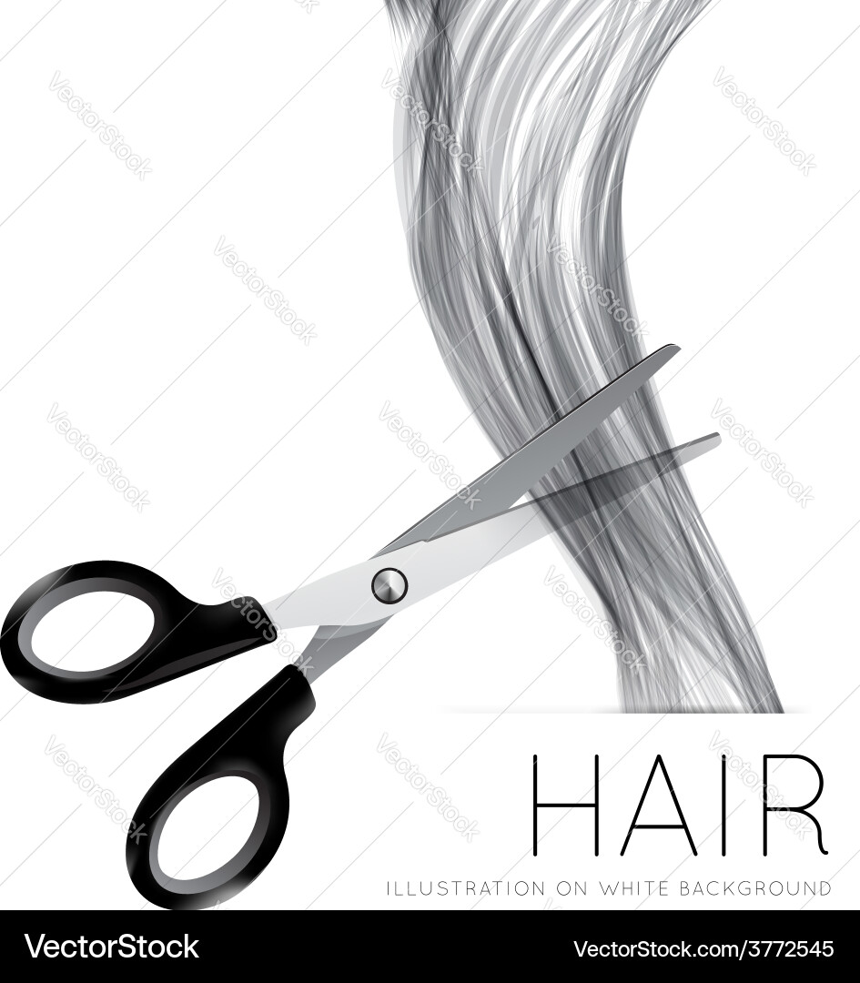 Hair and scissors on a white background Royalty Free Vector