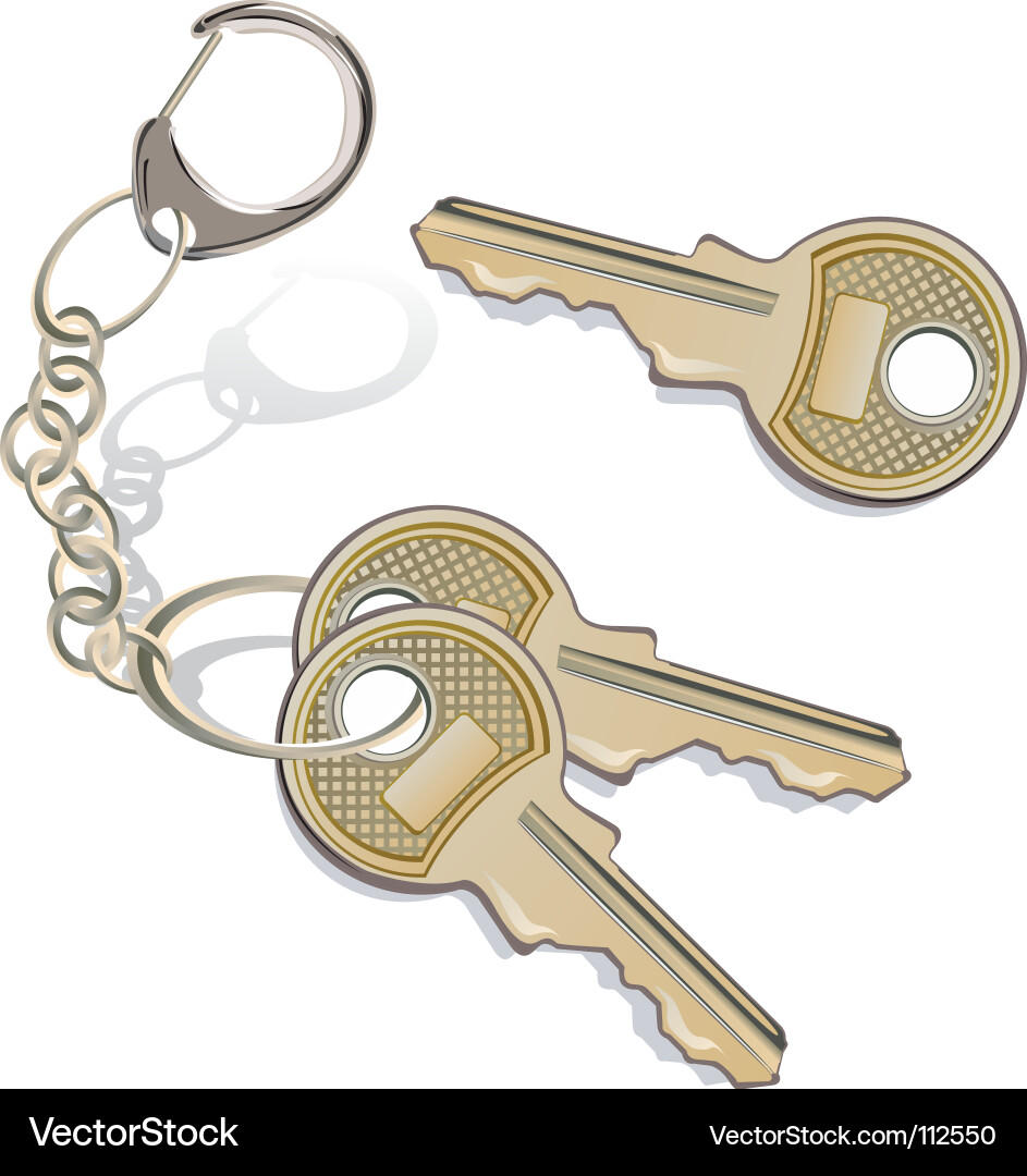 Bunch of keys Royalty Free Vector Image - VectorStock