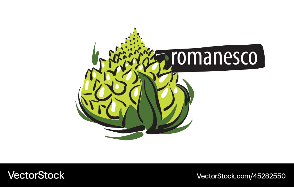 Drawn romanesco isolated on a white background Vector Image