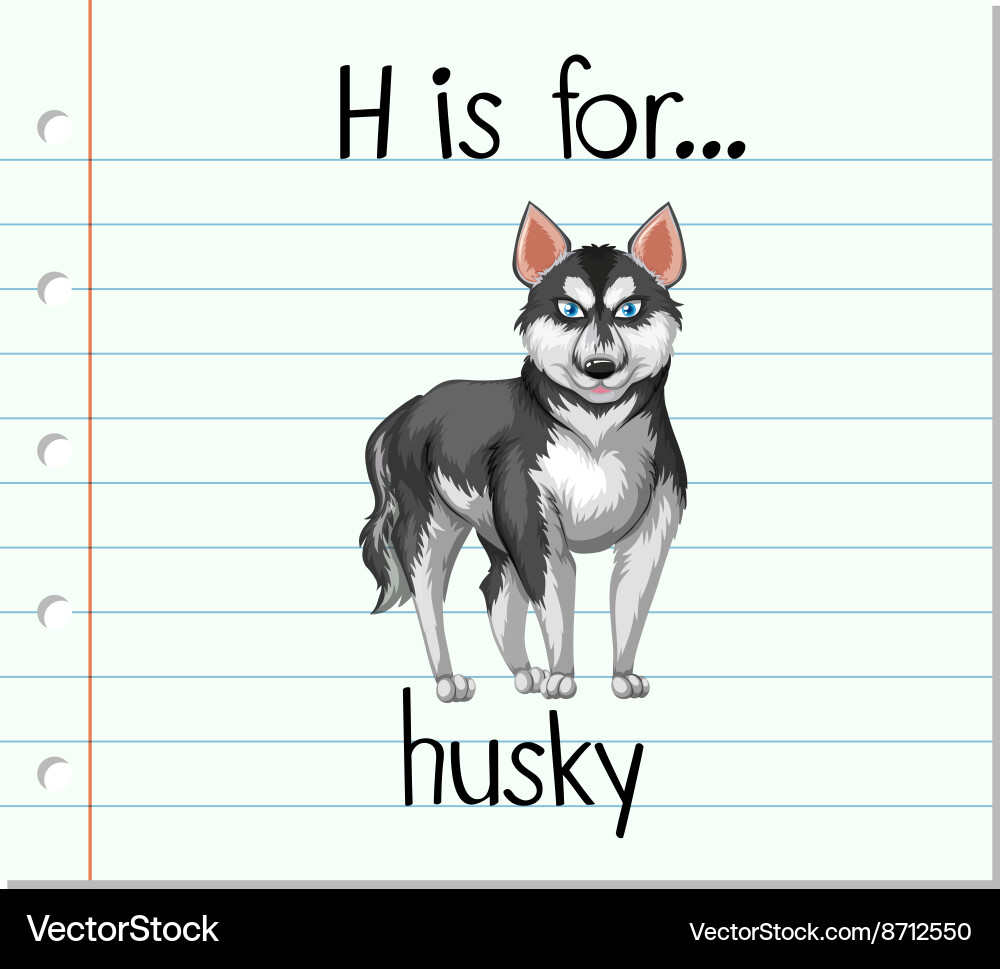 Flashcard letter h is for husky Royalty Free Vector Image
