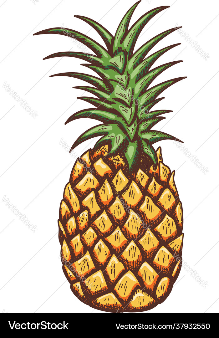 Icon pineapple Royalty Free Vector Image - VectorStock