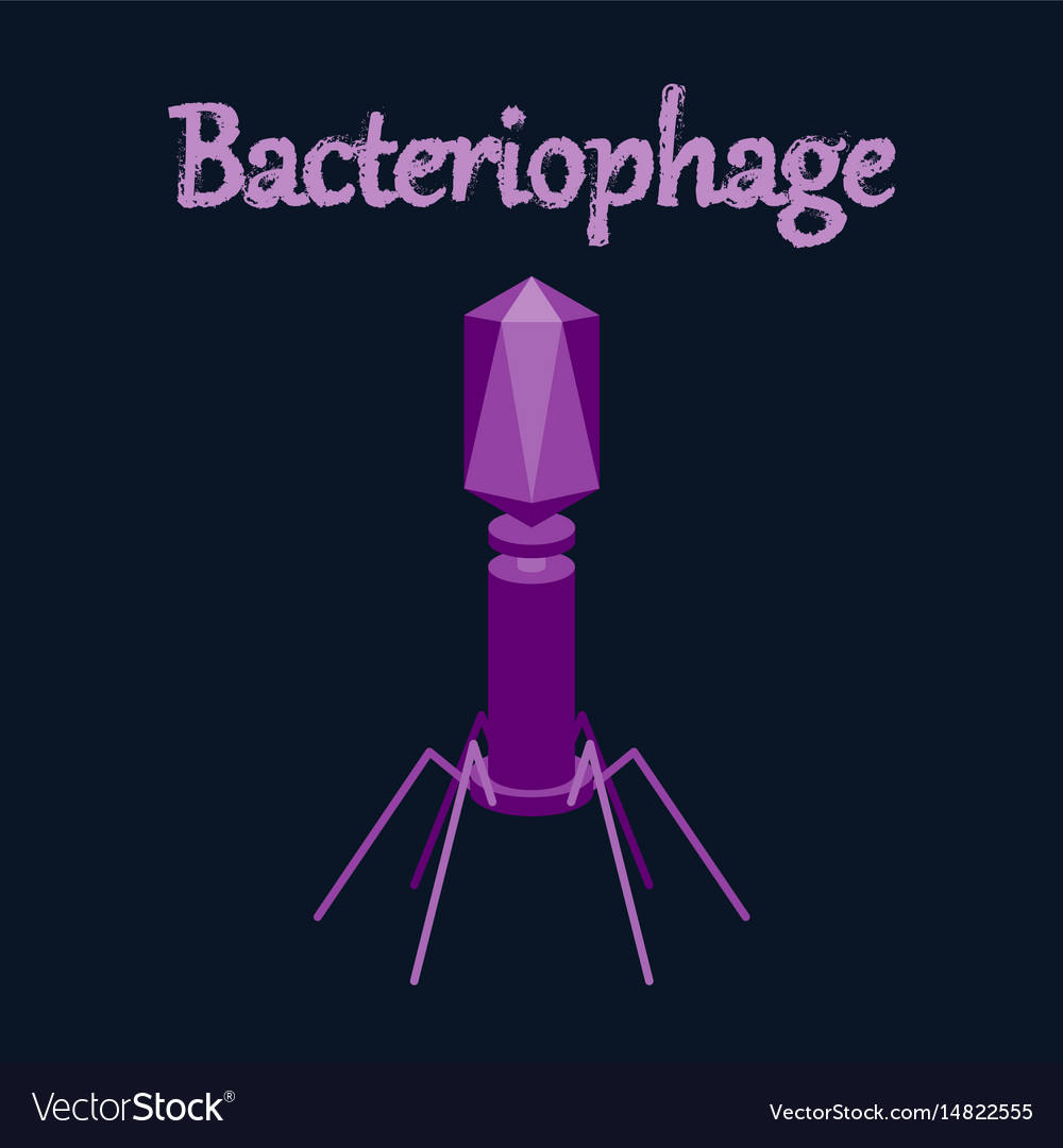 Human icon in flat style bacteriophage Royalty Free Vector