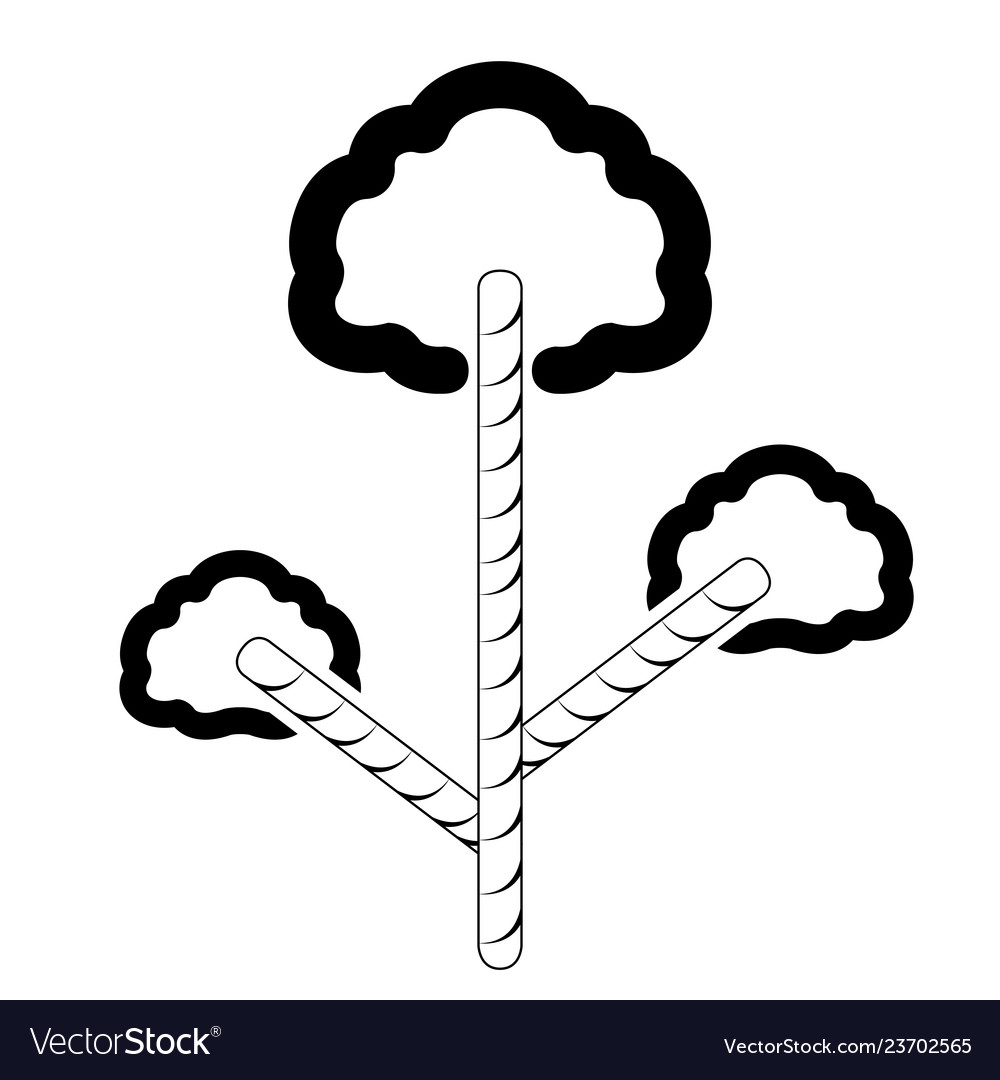 Isolated abstract tree icon Royalty Free Vector Image